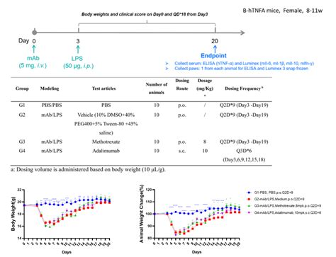 Rheumatoid Arthritis Research Models Biocytogen