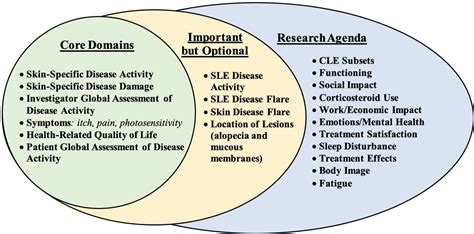 Development Of A Working Core Outcome Set For Cutaneous Lupus