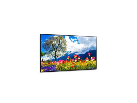 nec m981 98 4k uhd commercial display monitor