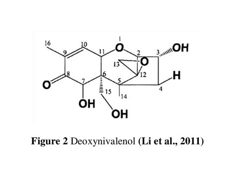 T 2 Toxin Li Et Al 2011 Download Scientific Diagram