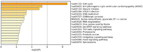 Classifying Breast Cancer Subtypes Using Deep Neural Networks Based On Multi Omics Data Pmc