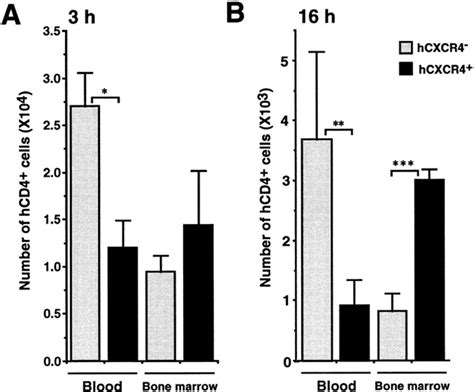 In Vivo Migration Of Transgenic Cd4⁺ T Cells 9 × 10⁶ A Or 5 × 10⁶ Download Scientific