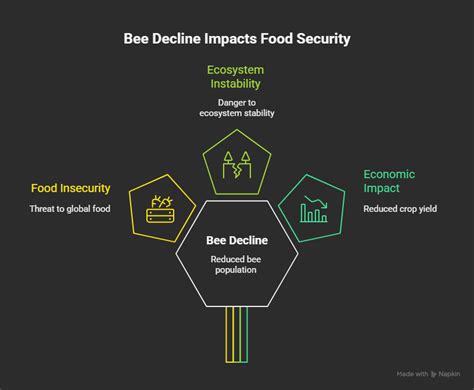 10 Factors That Cause Decline In The Bee Population