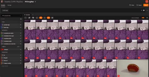 Visualize Cvpr 2023 Datasets At Cvpr 2023 Voxel51