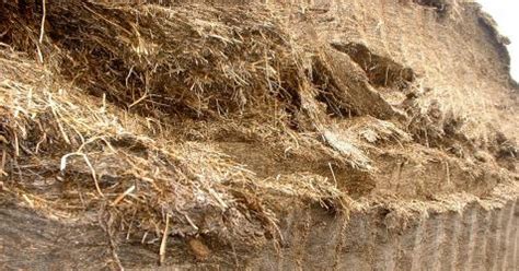 Heat Sensitivity Eurofins Agro