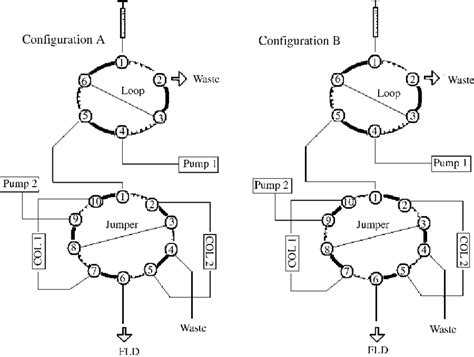 Schematic Representation Of The Dual Column Switching System