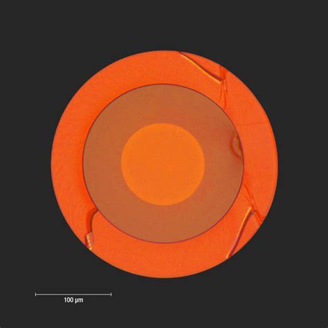 Multimode Fluoride Glass Optical Fiber
