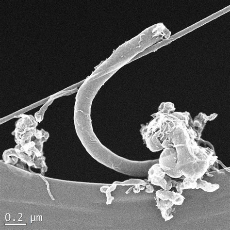 Sem Accelerating Voltage Researchgate