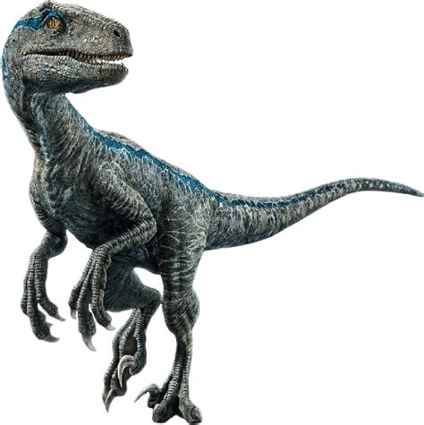 Blue Render Variant By Jurassicworldcards On Deviantart