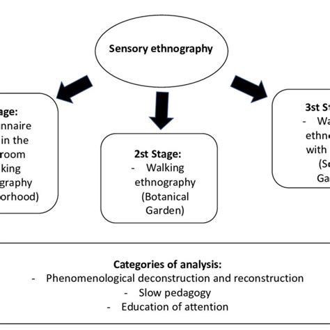Methodological Procedures Download Scientific Diagram