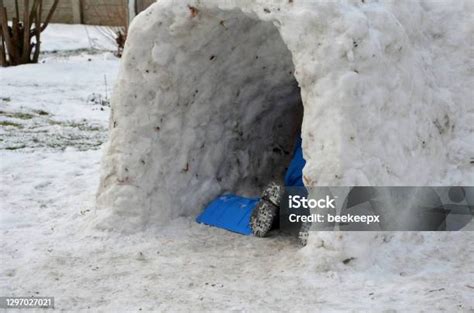 겨울 점프수트를 입은 어린 아이가 눈 위에 푸른 플라스틱 삽을 들고 걷고 있다 이글루를 만들 것입니다 어린 소년은 얼음 동굴