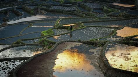 Village Rural Scenery Class Chart Powerpoint Background For Free