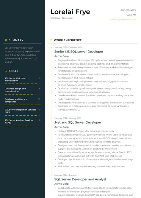 Sql Server Developer Resume Examples And Templates