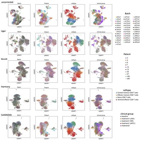 Umap Visualizations For Immunotherapy Trial Dataset Download