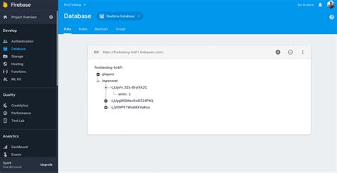 Fitur Di Dalam Firebase Tutorial Menggunakan Database Firebase