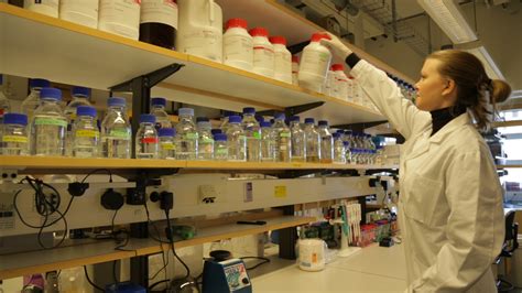 Determining Viral Titer As Plaque Forming Units Pfu Microbiology Jove