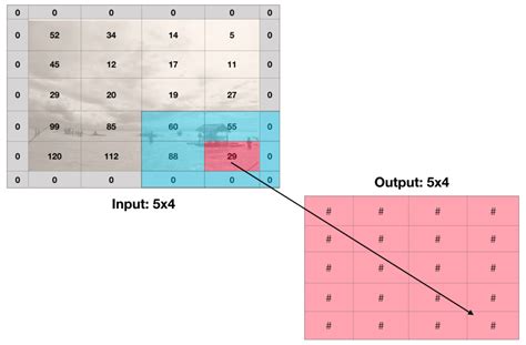 Convolutional Neural Networks Weights And Biases
