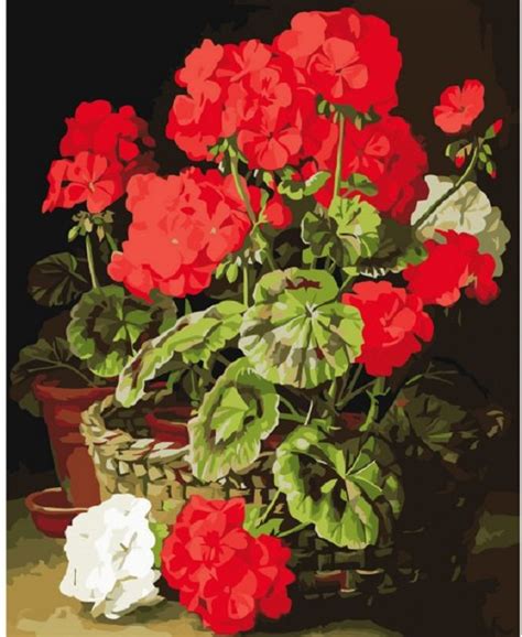 Набір для розпису по номерах Strateg Червона герань 40х50 Va 3578