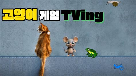 고양이가 좋아하는 영상 고양이가 좋아하는 소리 Lofi Music 3 Hours Youtube