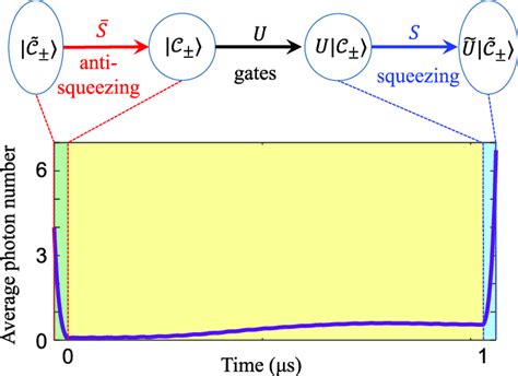 Top Panel The Process Of Ngqc For The Amplified Catstate Qubits