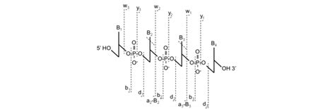 Oligonucleotide Sequence Confirmation Novatia Llc Oligonucleotide Sequence Confirmation Novatia Llc