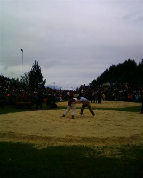 Was Für Ein Problem Hat Blick Schreiberling Marcel Perren Mit Dem Schwingsport Schwinger Blog