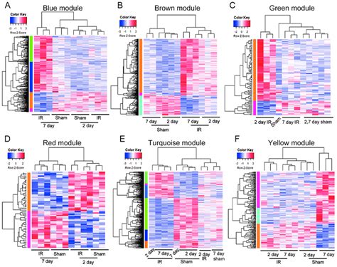 hierarchical clustering analysis of all differentially expressed genes