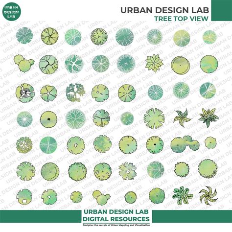 Illustrated Tree Top View Urban Design Lab