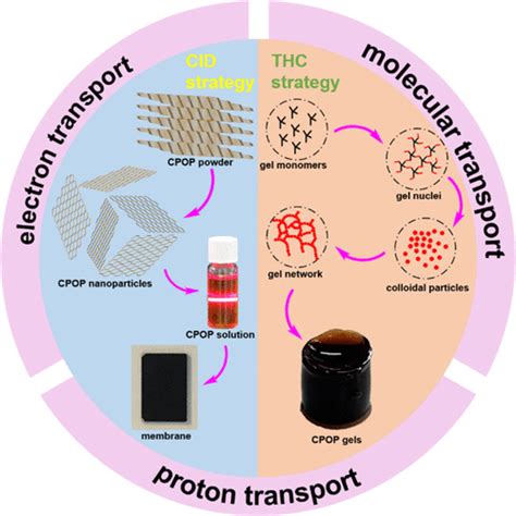 Solution Processing Of Cross Linked Porous Organic Polymers Accounts Of Materials Research