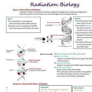 The X Ray Interactions Section Etsy