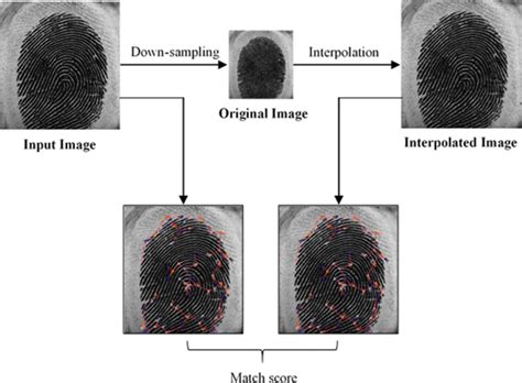 Recognition Accuracy Assessment Of Interpolation Techniques Download