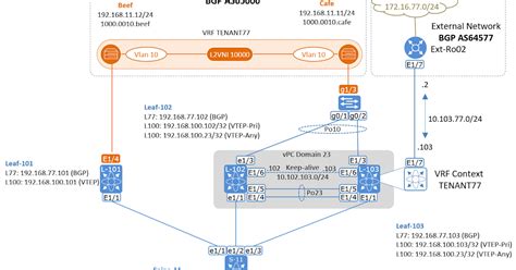 The Network Times Vxlan Part Ix Vxlan Bgp Evpn Vpc