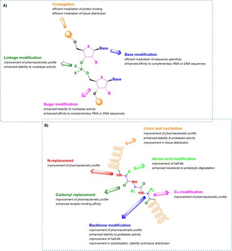 Oligonucleotide Synthesis From Green Innovations In Oligopeptide To