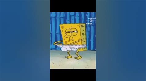 Spongeknob Squarenuts Youtube