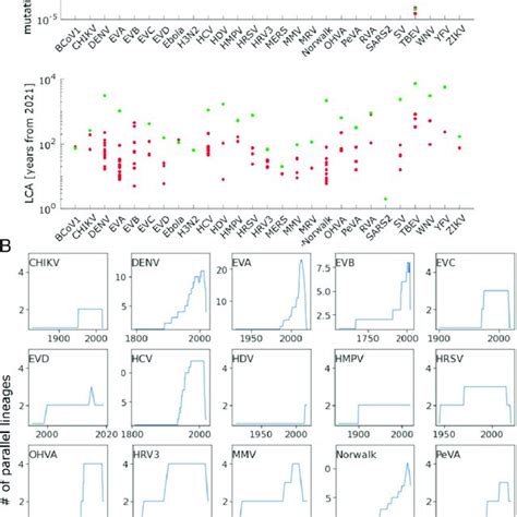 Gls Of Human Pathogenic Rna Viruses Throughout Time A Mutation Rates Download Scientific