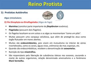 Reino Protista Protozoários E Algas Unicelulares E Pluricelulares Ppt