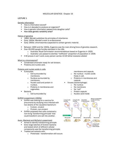 Complete Lecture Notes Of The Molecular Genetics Module Biol1003