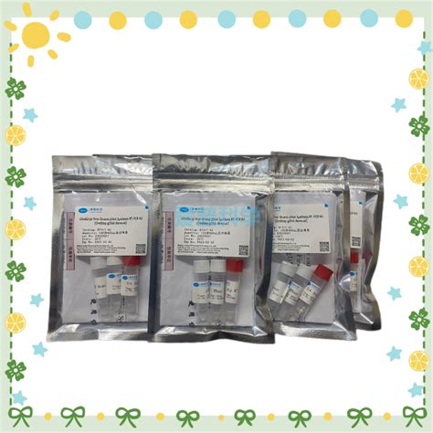 Superscript Iii 第一链合成系统superscript Iii First Strand Synthesis System爱普科学商城