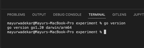 Golang Go Newversion Upgrade Mac Explore Mayur Wadekar