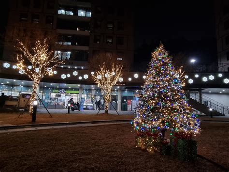 서울대학교 관학학생 생활관 겨울맞이 경관조명 수목조명 건물외관조명 디자인조명 2021년