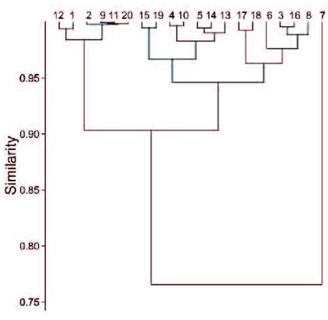 Cluster Analysis Upgma Correlation Similarity Of Internal