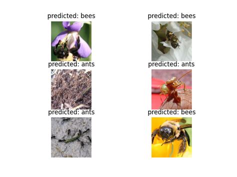 컴퓨터 비전vision을 위한 전이학습transfer Learning — 파이토치 한국어 튜토리얼 Pytorch Tutorials In Korean