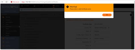 Certificate Signing Request Csr Error Please Enter A Valid Certificate Name For Sonicos 7 1 1