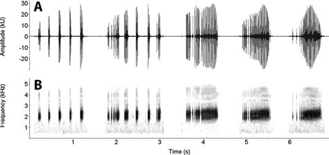 Oscillogram A And Spectrogram B Of Five Advertisement Calls Of