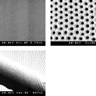 Sem Micrographs Of The Scalloped Surface Of The Aluminum Substrate