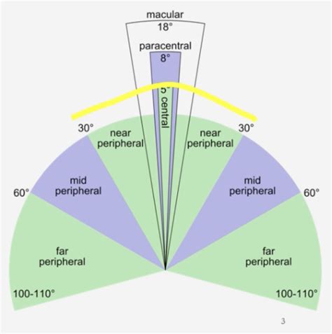 Theory Visual Field Testing Flashcards Quizlet