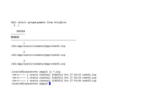 Oracle DG 墨天轮文档