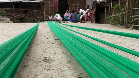 3000 Assamese Traditional Stock Videos Footage And 4k Video Clips Getty Images