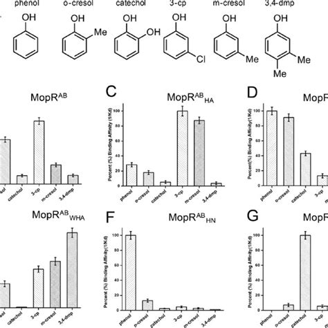 Binding affinity of MopR AB and its mutants toward different phenol... | Download Scientific Diagram