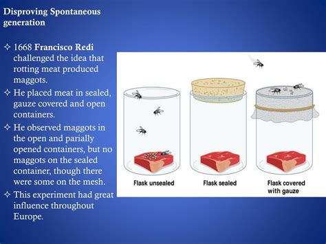 Ppt Spontaneous Generation Powerpoint Presentation Free Download